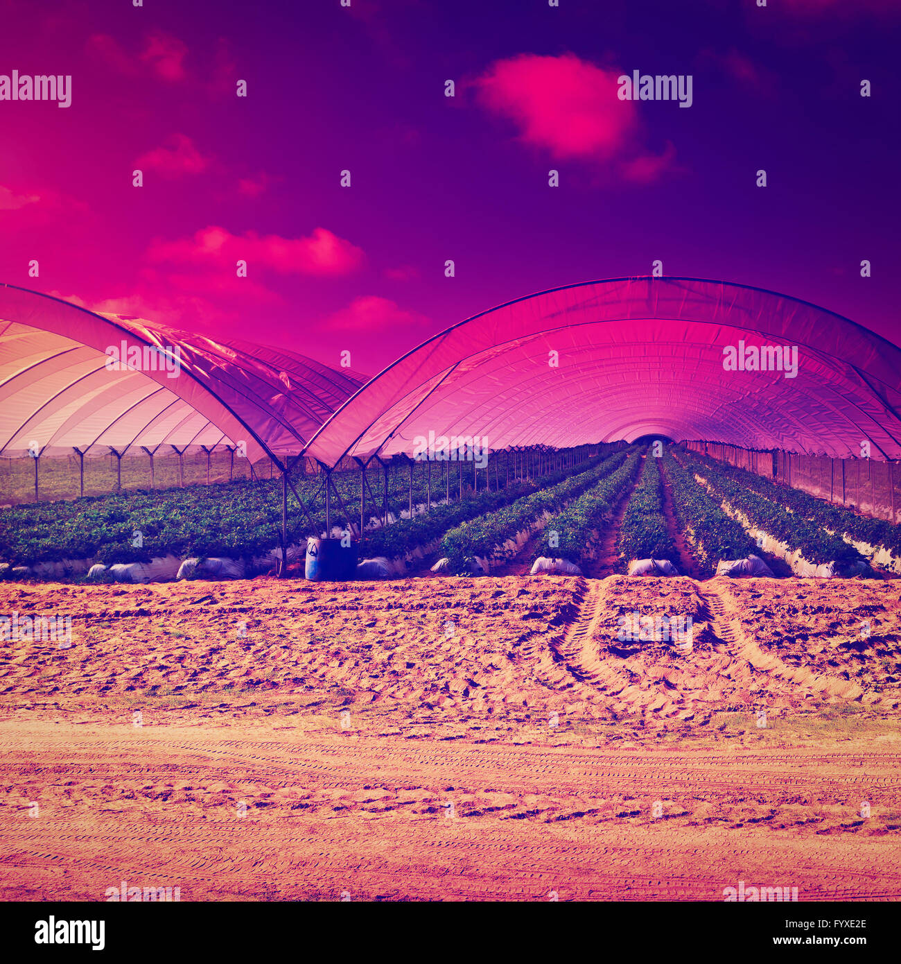 Earthway Strawberry Beds