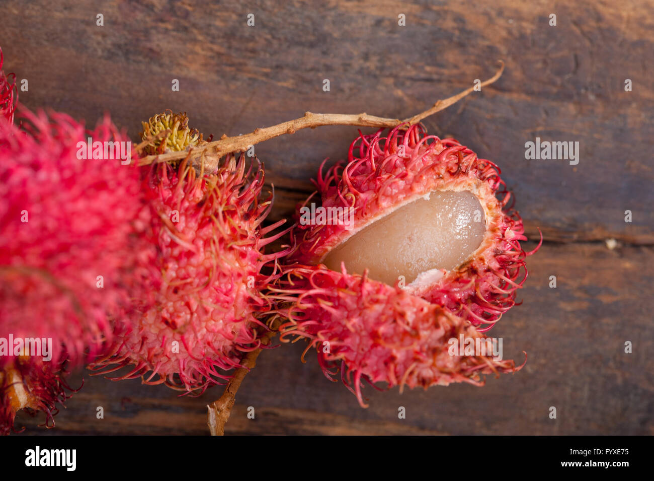 fresh rambutan fruits Stock Photo - Alamy