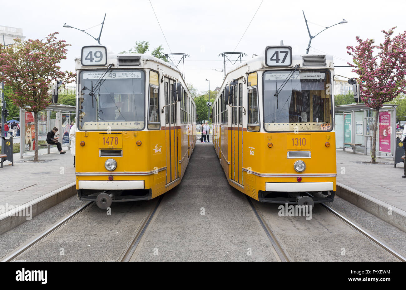 Budapest tram 49 hi-res stock photography and images - Alamy