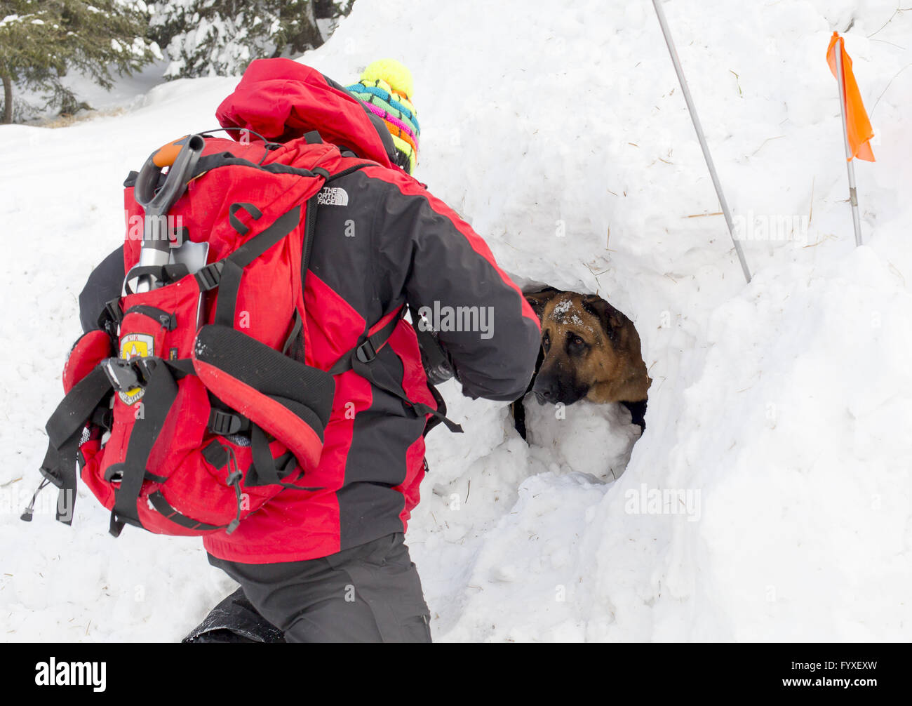 Mountain rescue service Stock Photo - Alamy