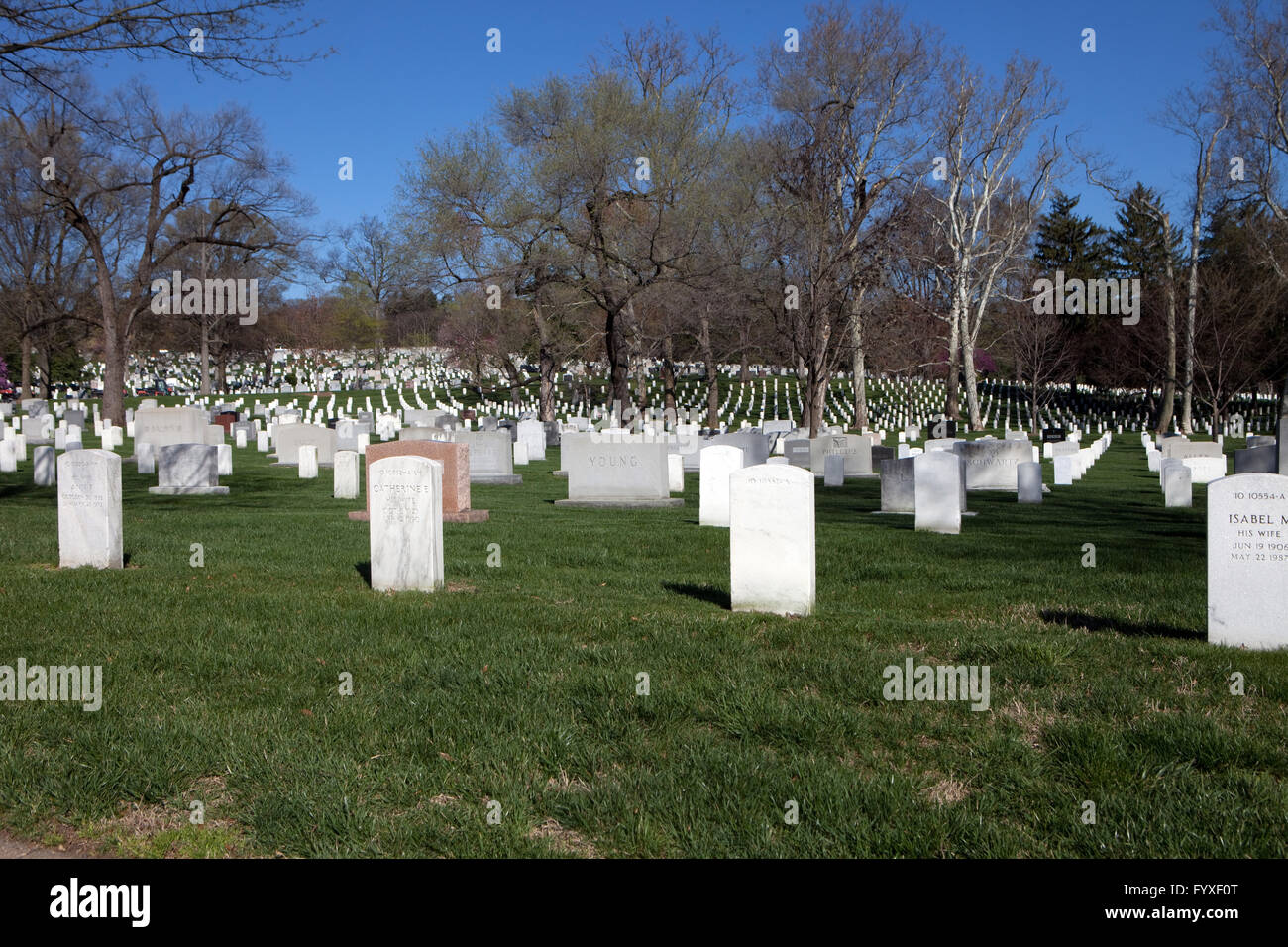Headstones and graves at Arlington Cemetery, Washington DC, United ...