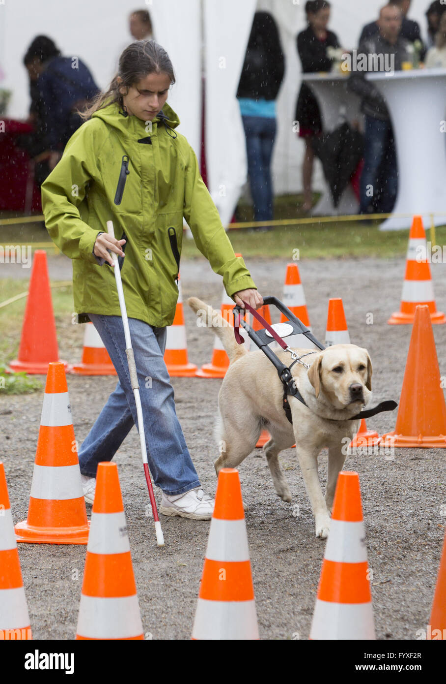 Blind person with her guide dog Stock Photo - Alamy