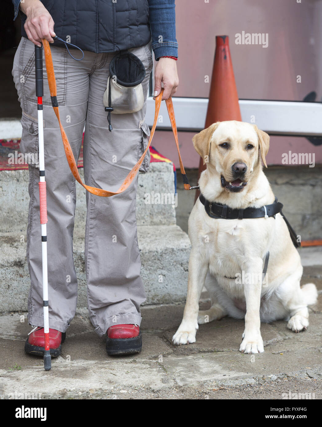 Blind people guide dog hi-res stock photography and images - Alamy