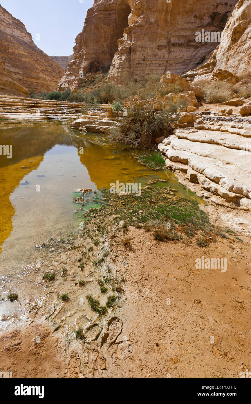 Canyon in Desert Stock Photo - Alamy