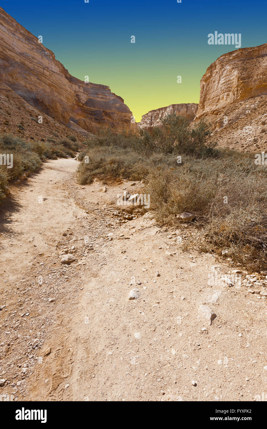 Desert at Sunset Stock Photo - Alamy