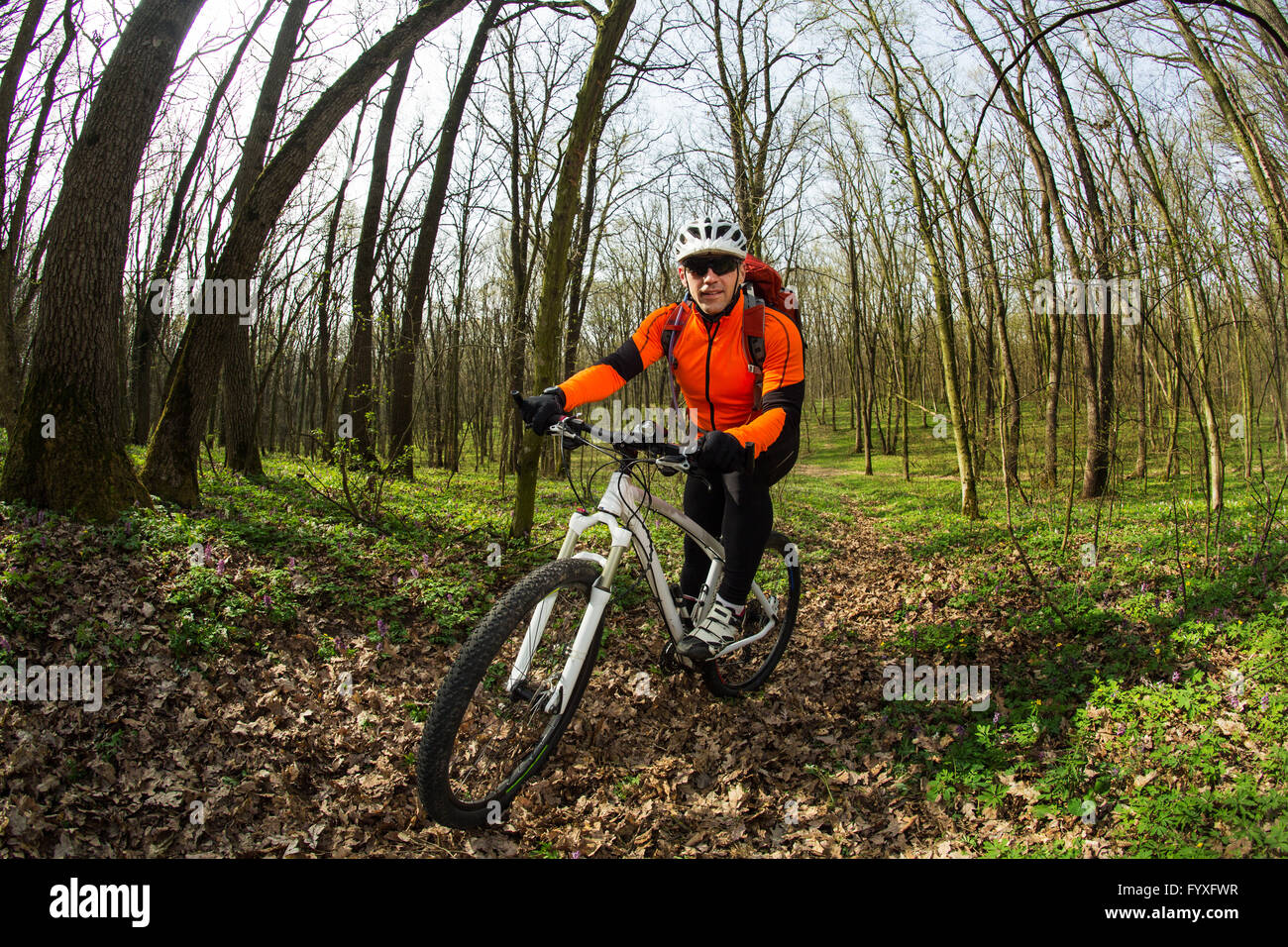 Man cyclist riding the bicycle Stock Photo - Alamy