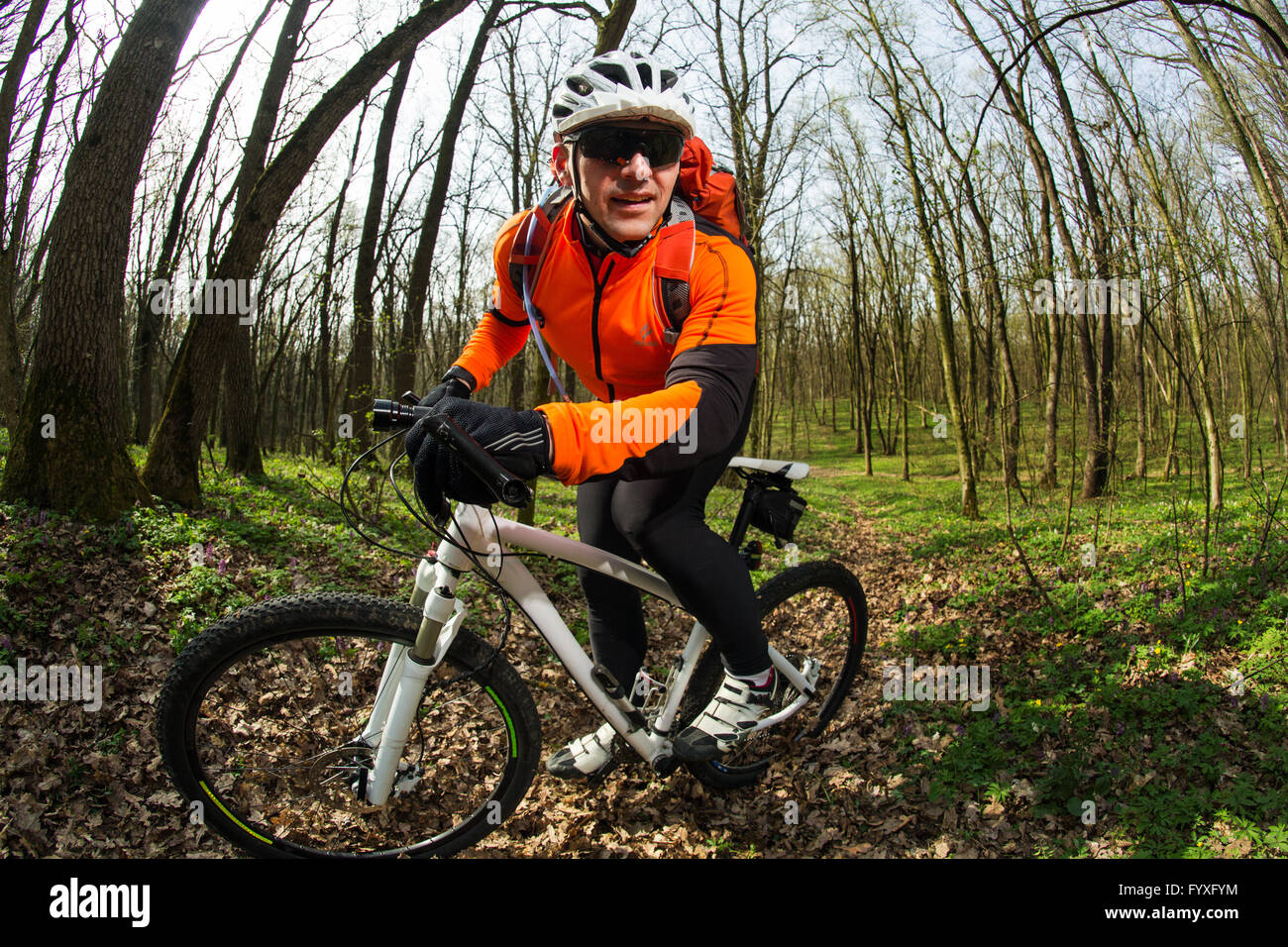 Cyclist on the Bike Stock Photo - Alamy