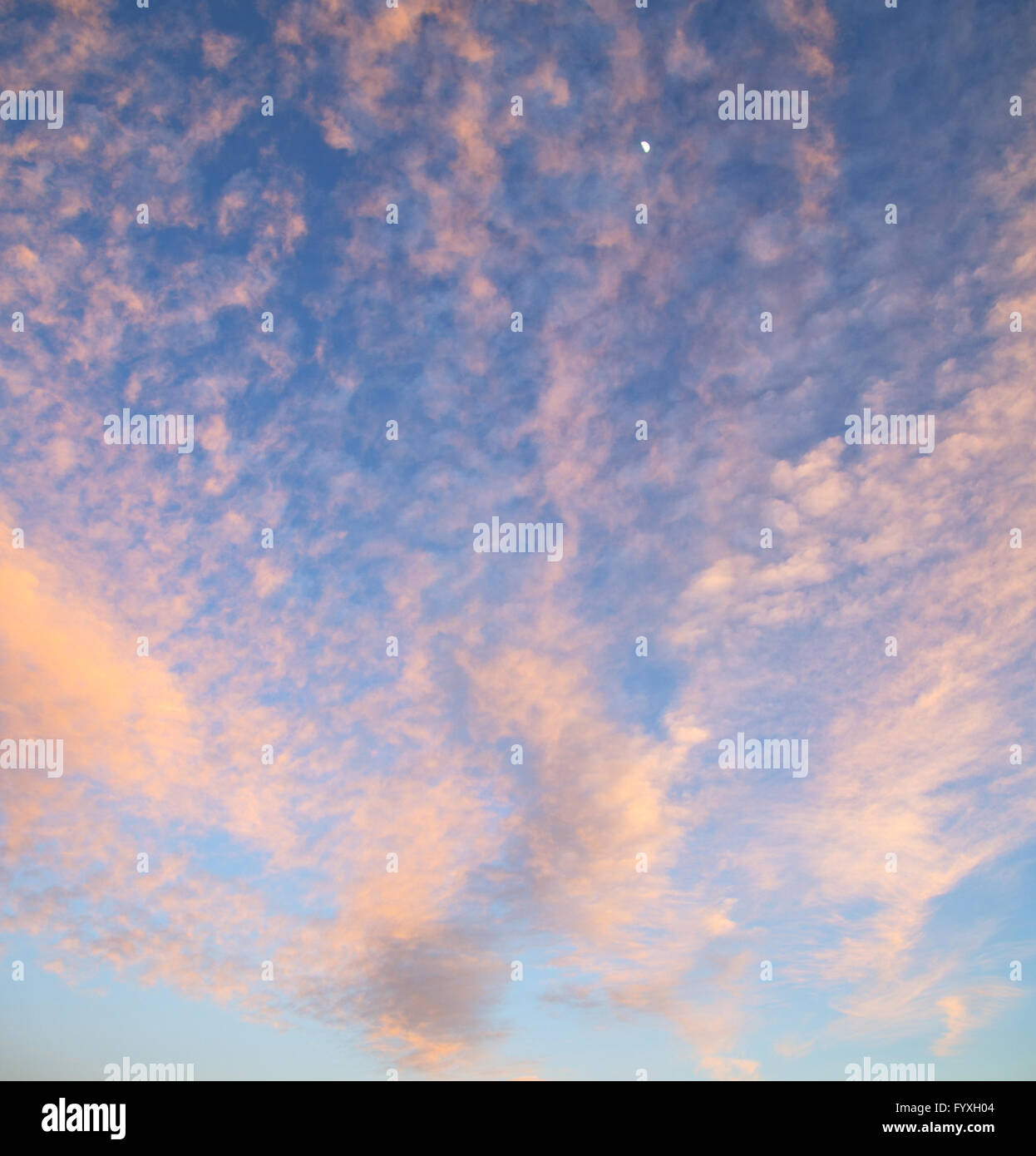 sunrise in the colored sky white soft clouds and abstract background ...