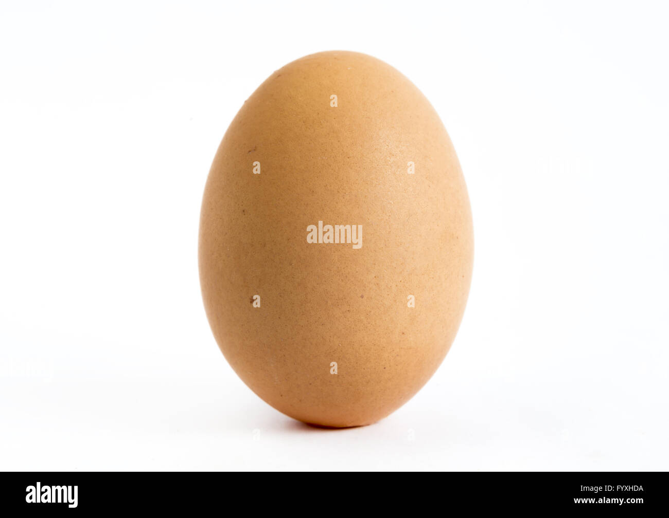Single egg isolated Stock Photo - Alamy