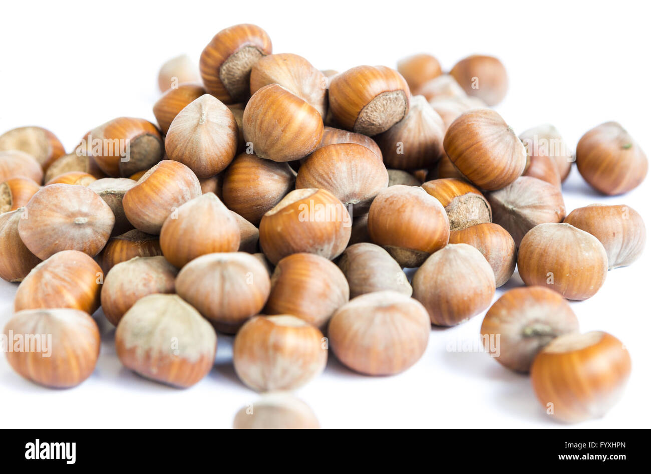 Unpeeled hazelnuts hi-res stock photography and images - Alamy