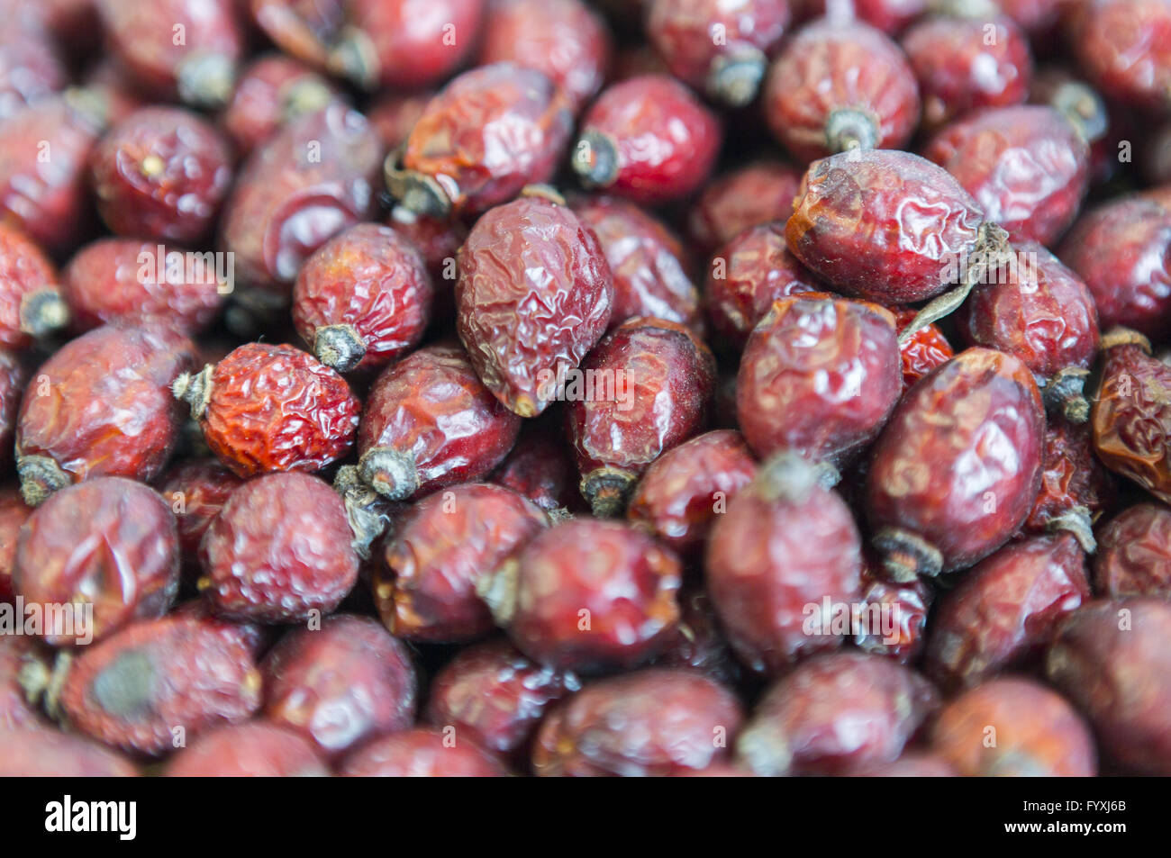 Dried rose hips Stock Photo - Alamy