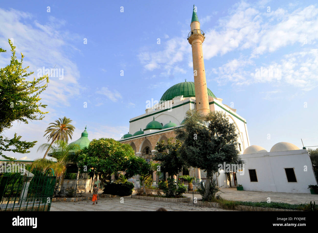 Mosque Ahmed Jezzar, minaret, Akkon, Galilee, Israel / Akko Stock Photo ...