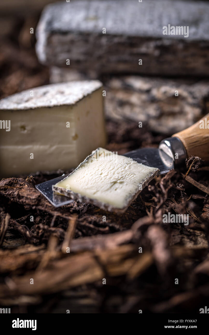 Creamy cheese slice soft hi-res stock photography and images - Alamy