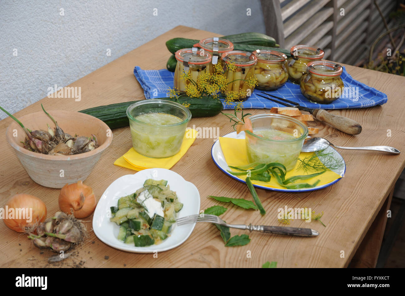 Cucumis sativus, cucumber, food Stock Photo - Alamy