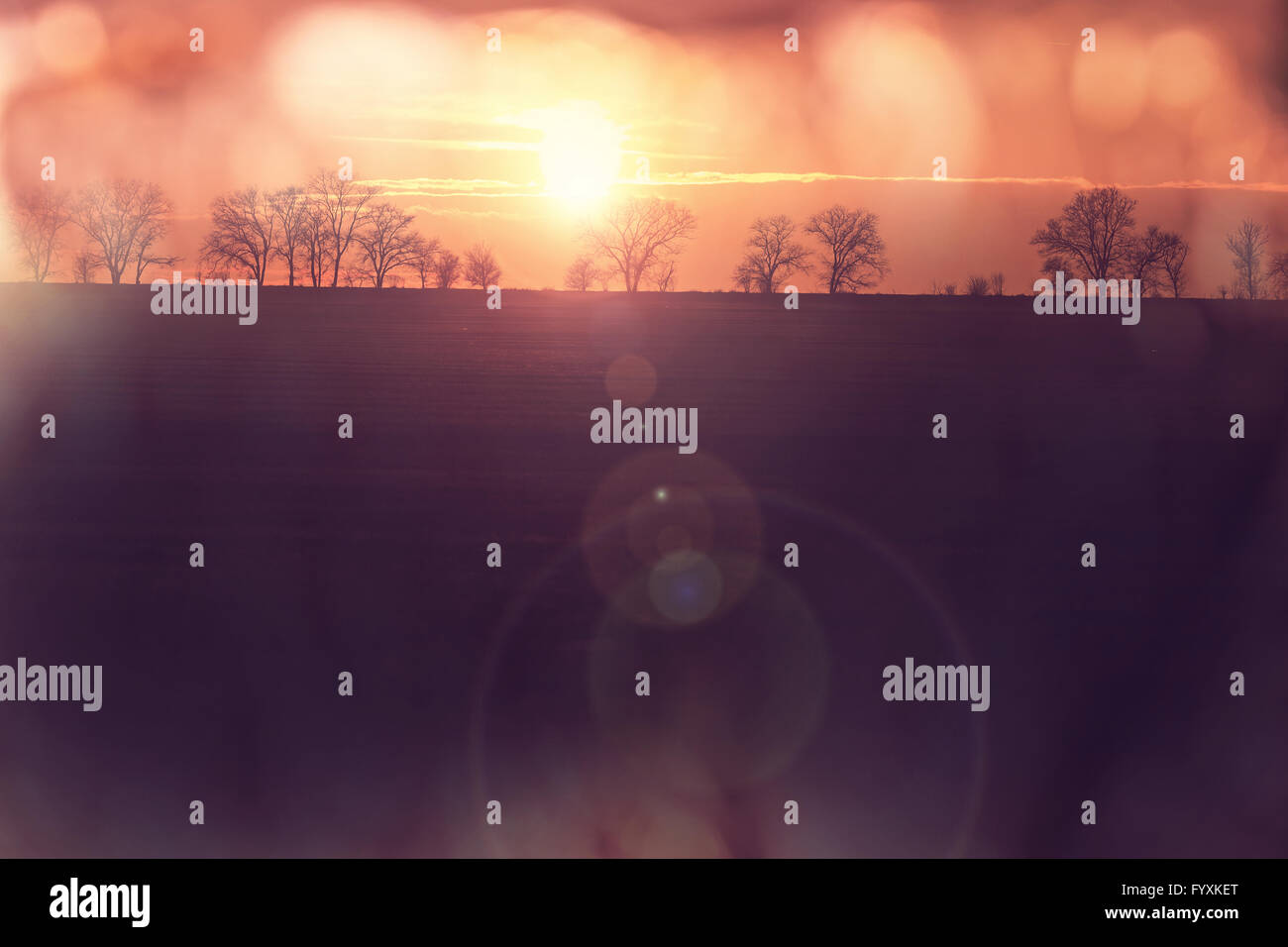 Field on sunset Stock Photo - Alamy