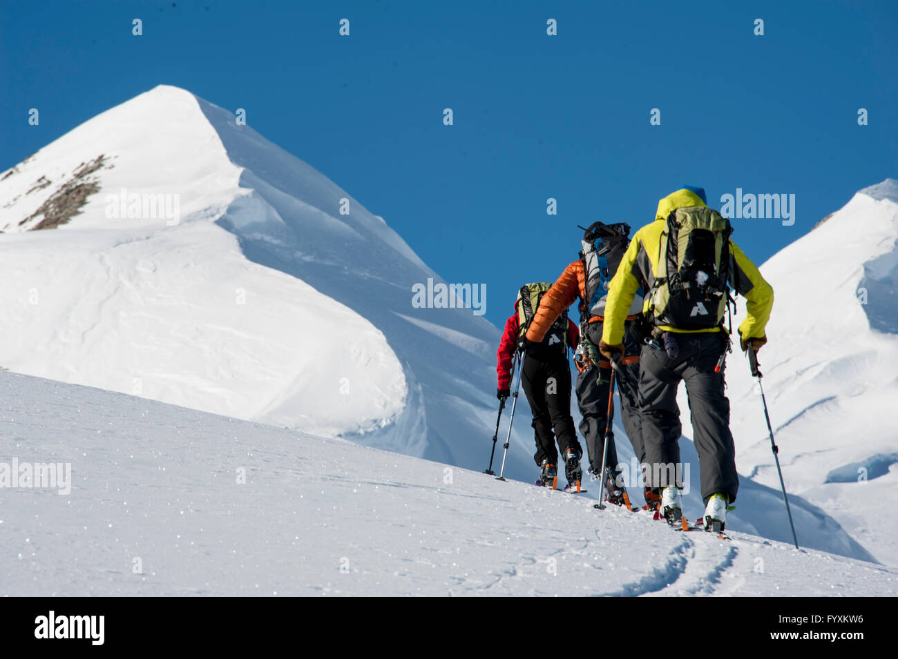 Three skiers in Antarctica Stock Photo - Alamy