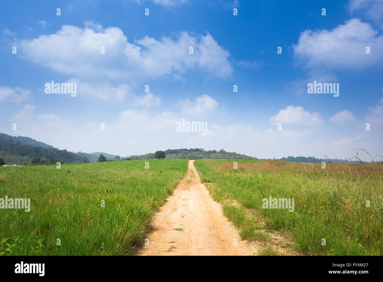 Long footpath leads up a hill Stock Photo - Alamy