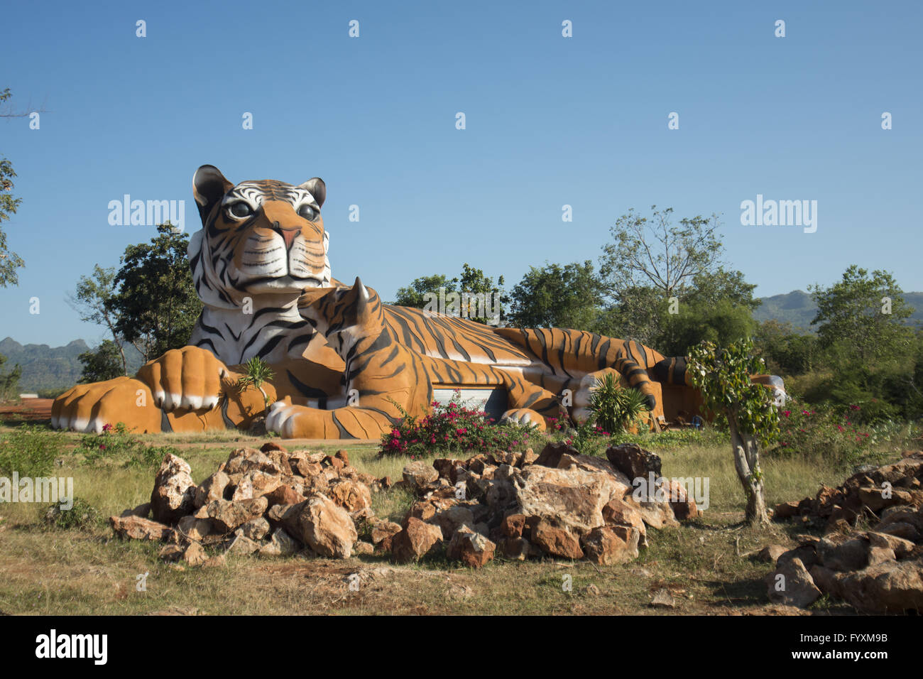 Tiger temple hi-res stock photography and images - Alamy
