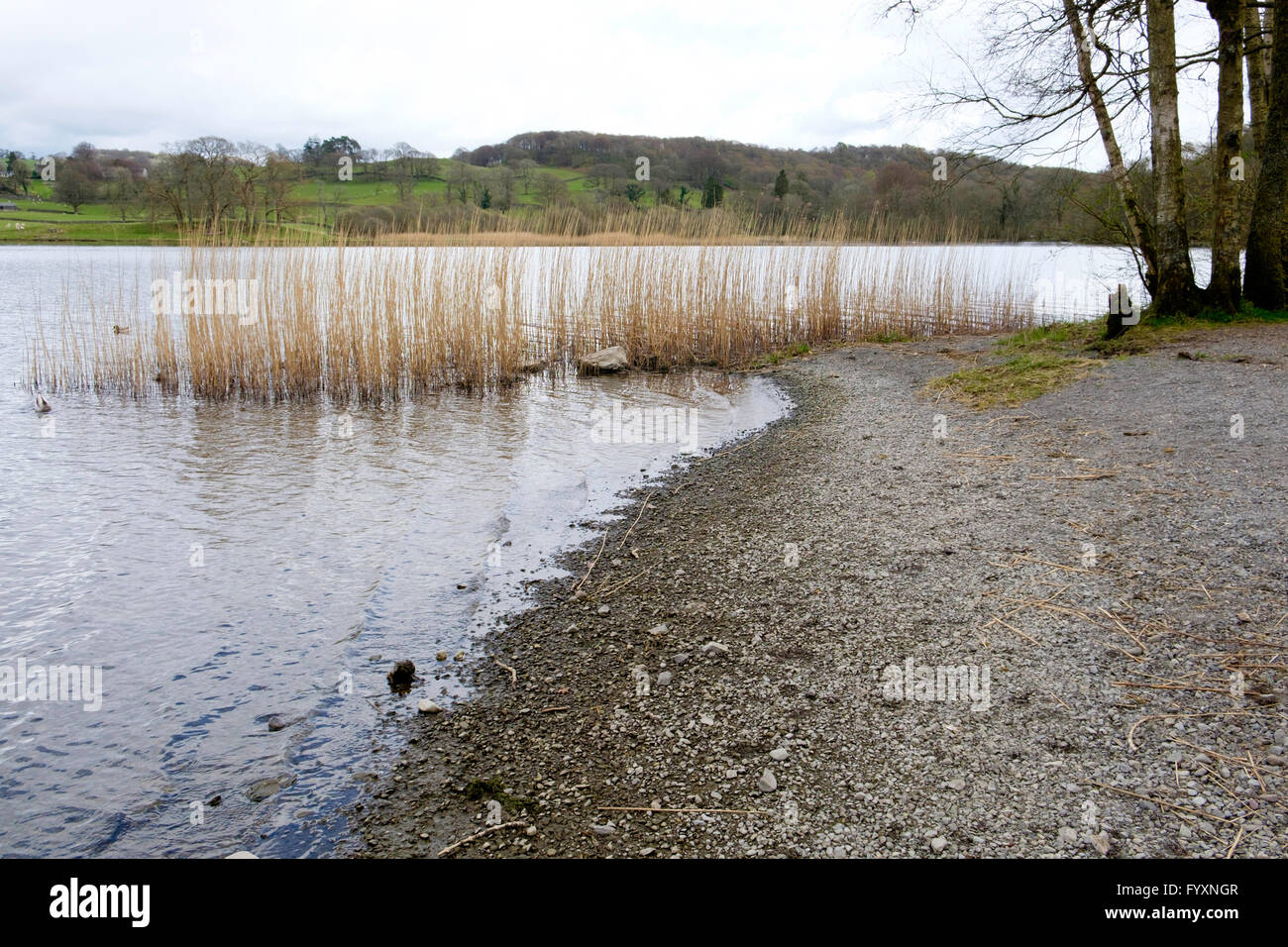 Esthwaite water hi-res stock photography and images - Alamy