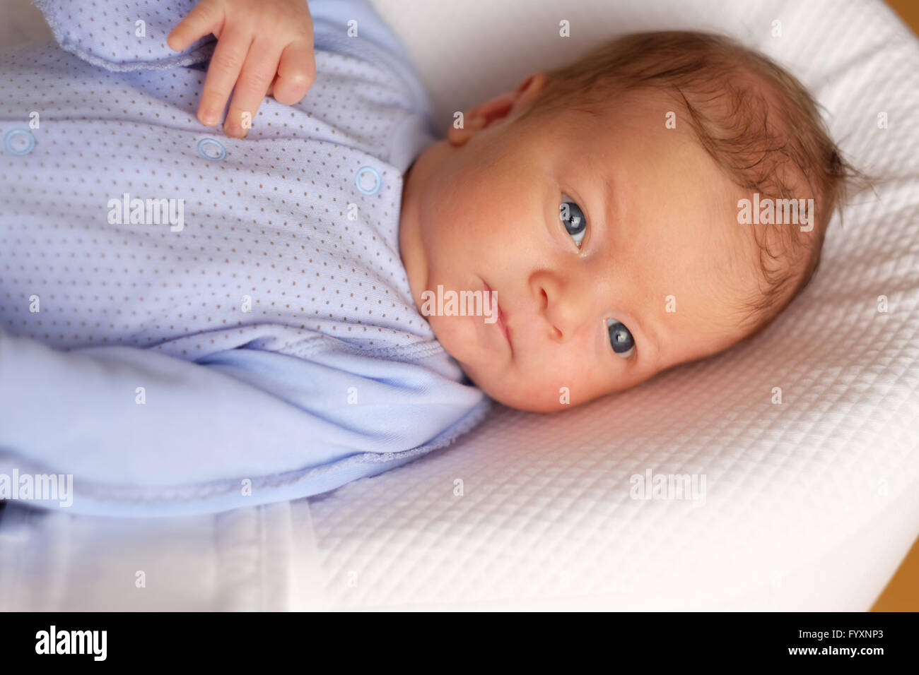 One month old baby Stock Photo - Alamy
