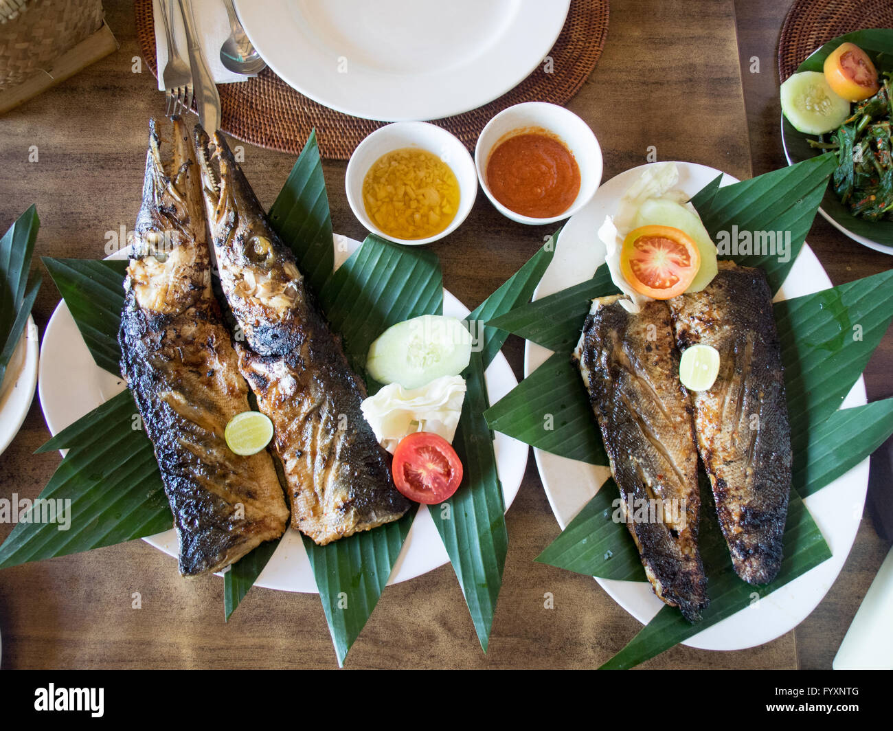 Barracuda fish hi-res stock photography and images - Alamy