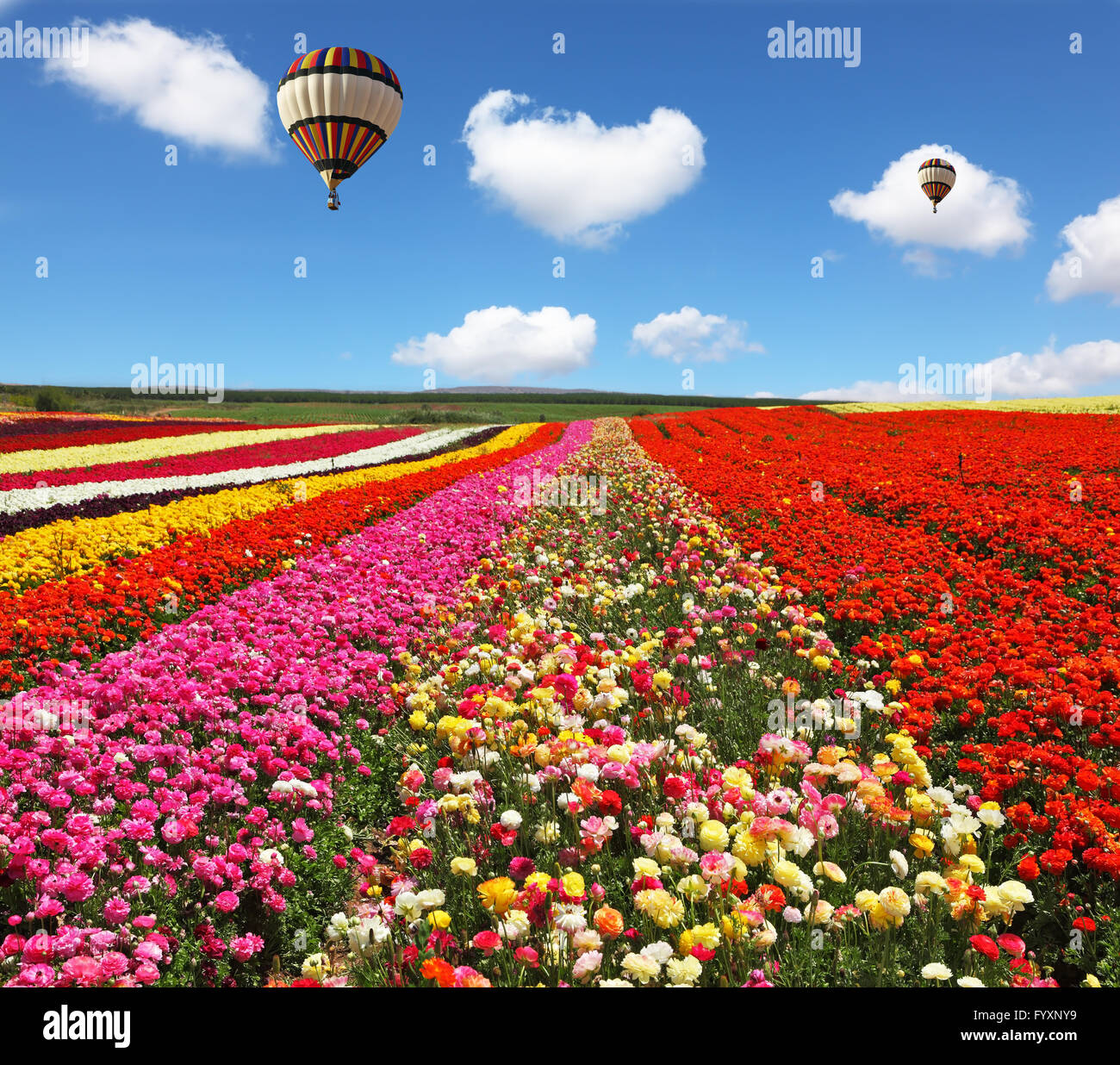 Sunlight balloons hi-res stock photography and images - Alamy