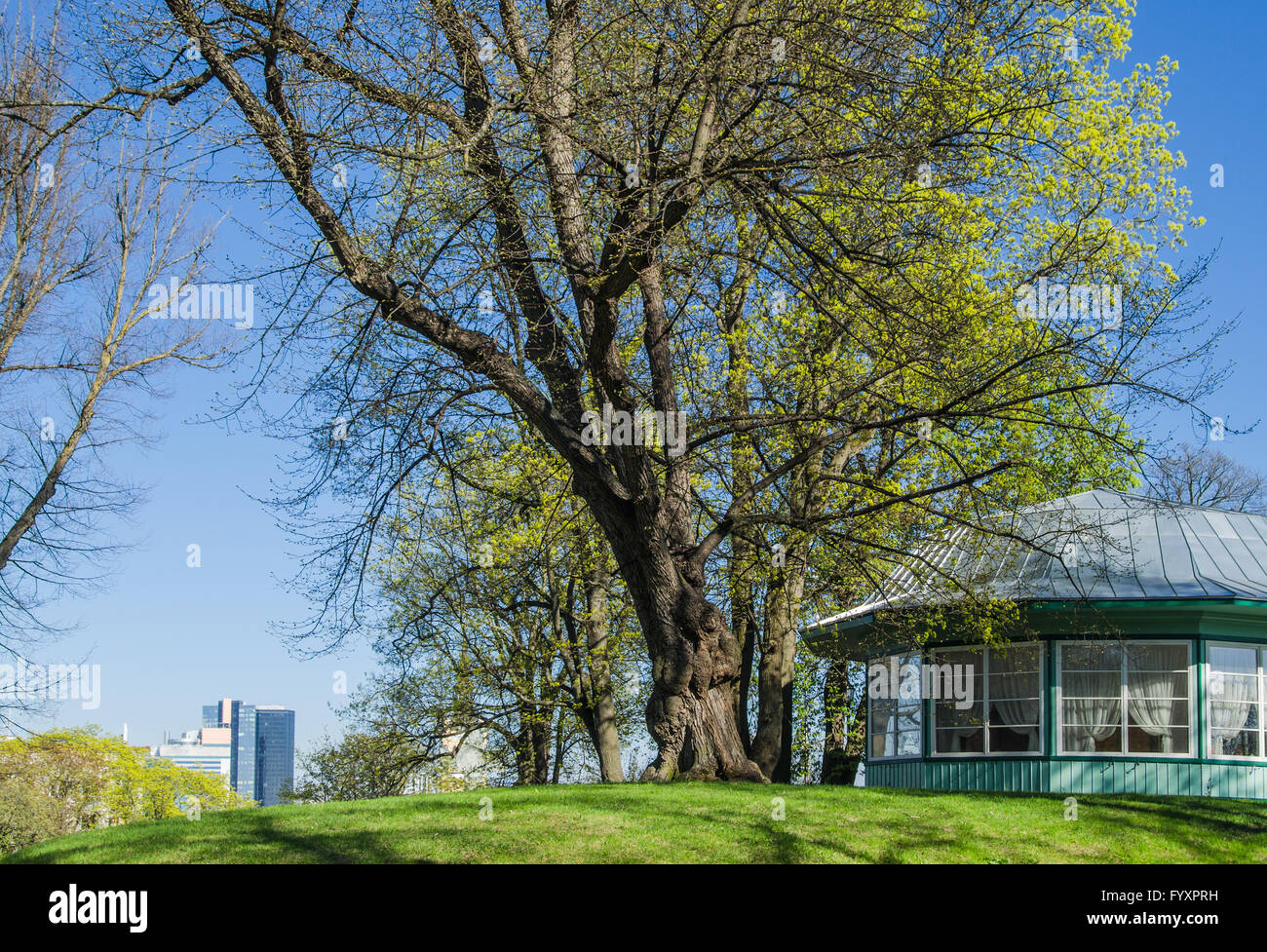 Harju hill hi-res stock photography and images - Alamy