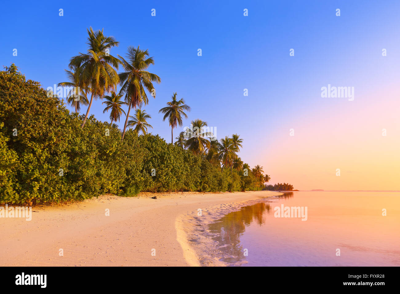 Sunset in Maldives beach Stock Photo - Alamy