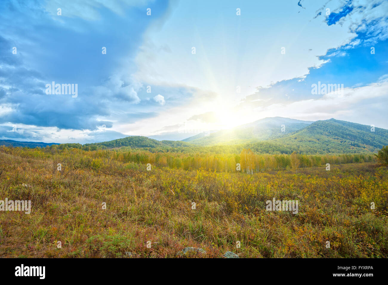 taiga and mountains Stock Photo - Alamy
