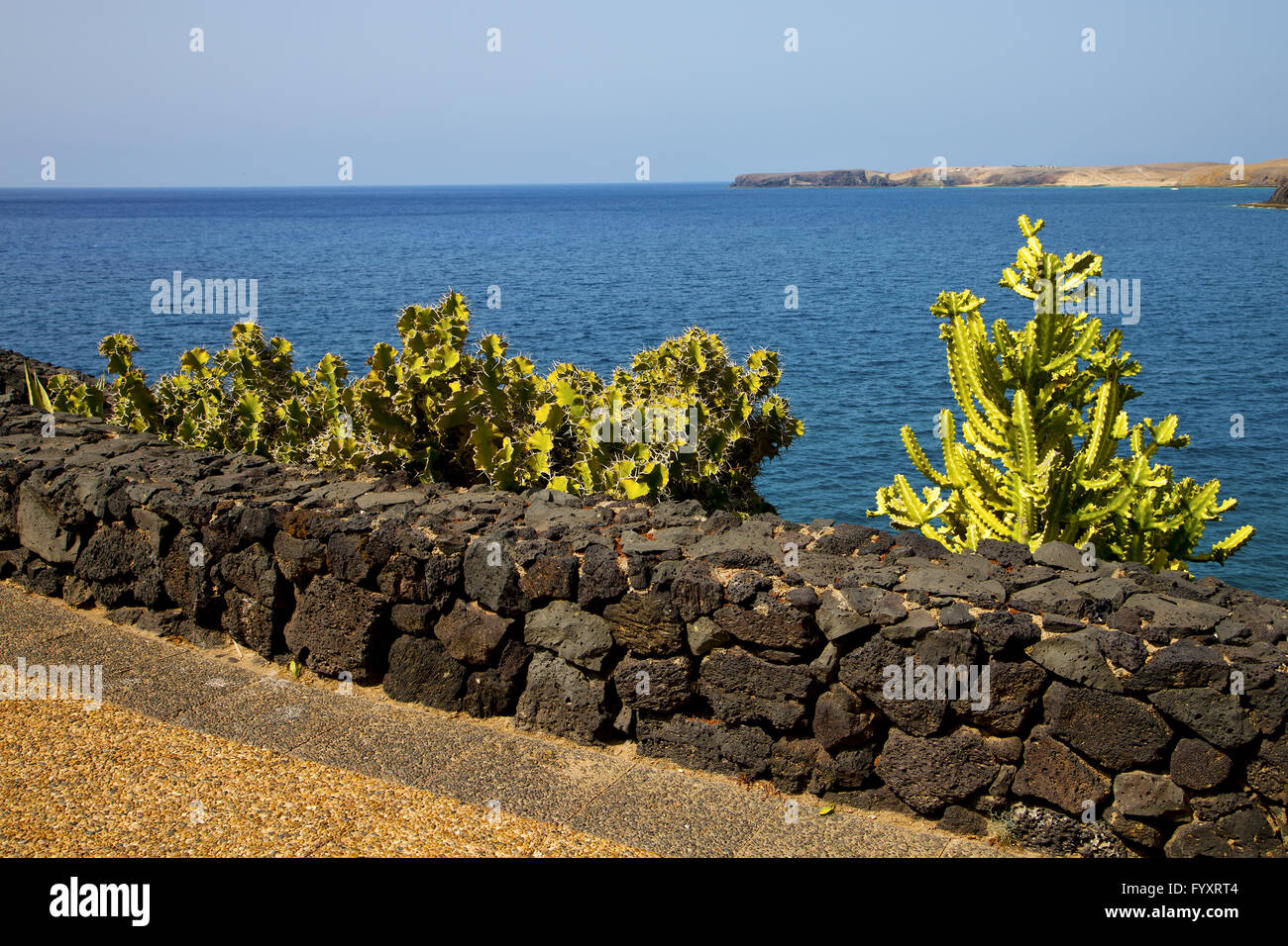 cactus coastline beach water boat summer Stock Photo - Alamy