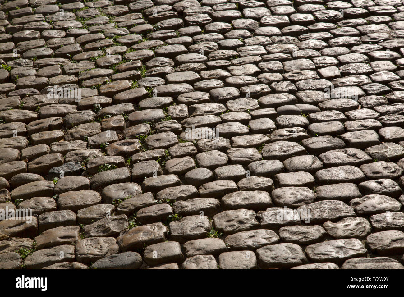 Cobblestone Street, Avignon, France, Europe Stock Photo - Alamy
