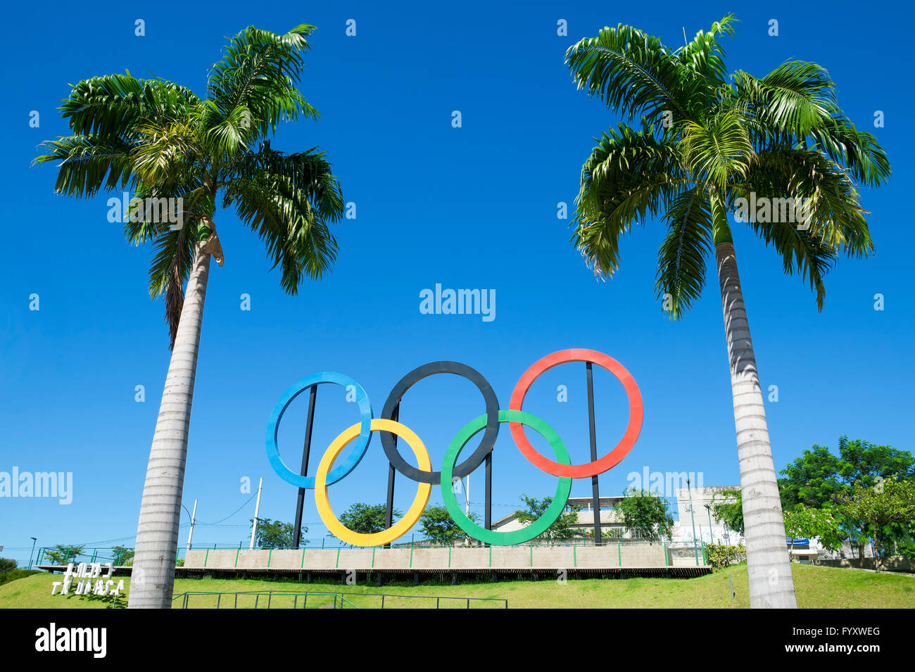 RIO DE JANEIRO - MARCH 18, 2016: Olympic rings stand under tall palm ...