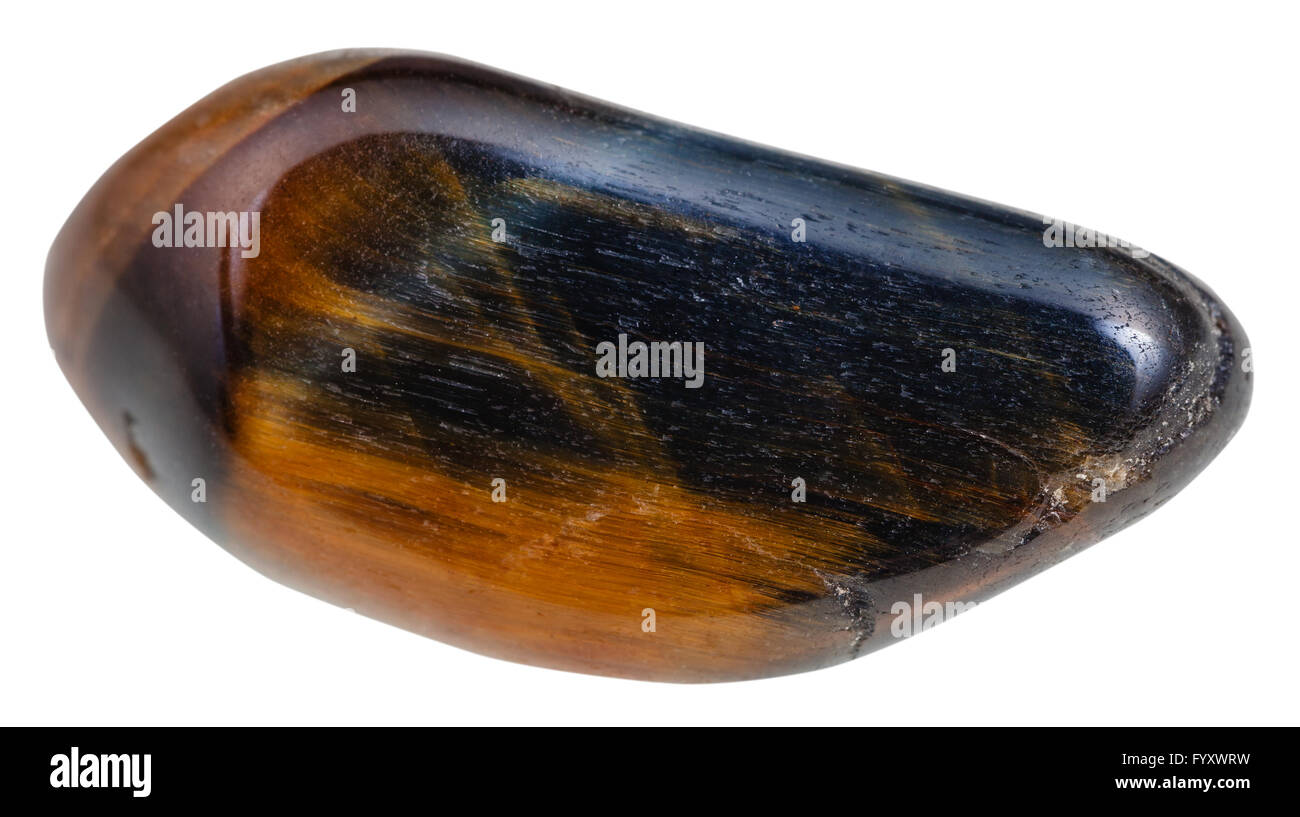 Eye of hawk hi-res stock photography and images - Alamy