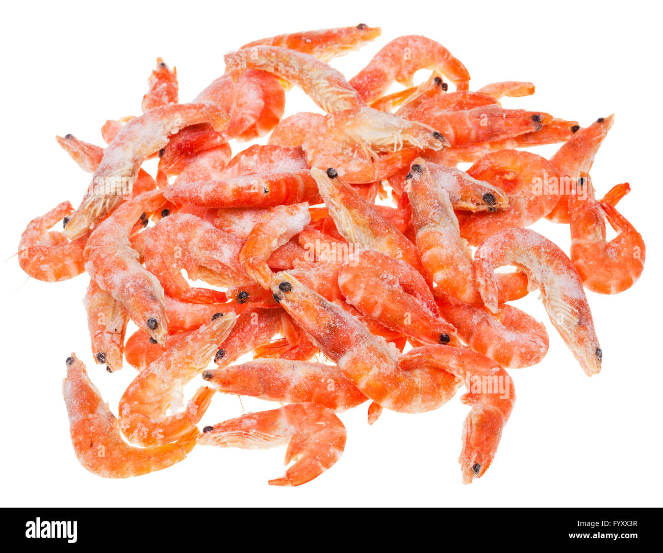Many shrimp hi-res stock photography and images - Alamy