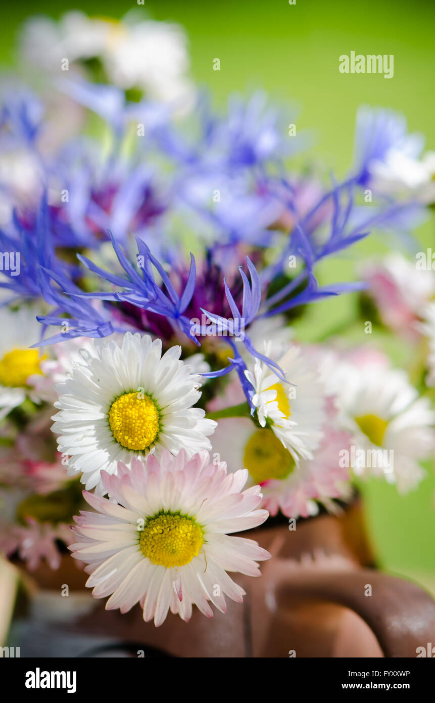 Bouquet of field flowers, close-up Stock Photo - Alamy