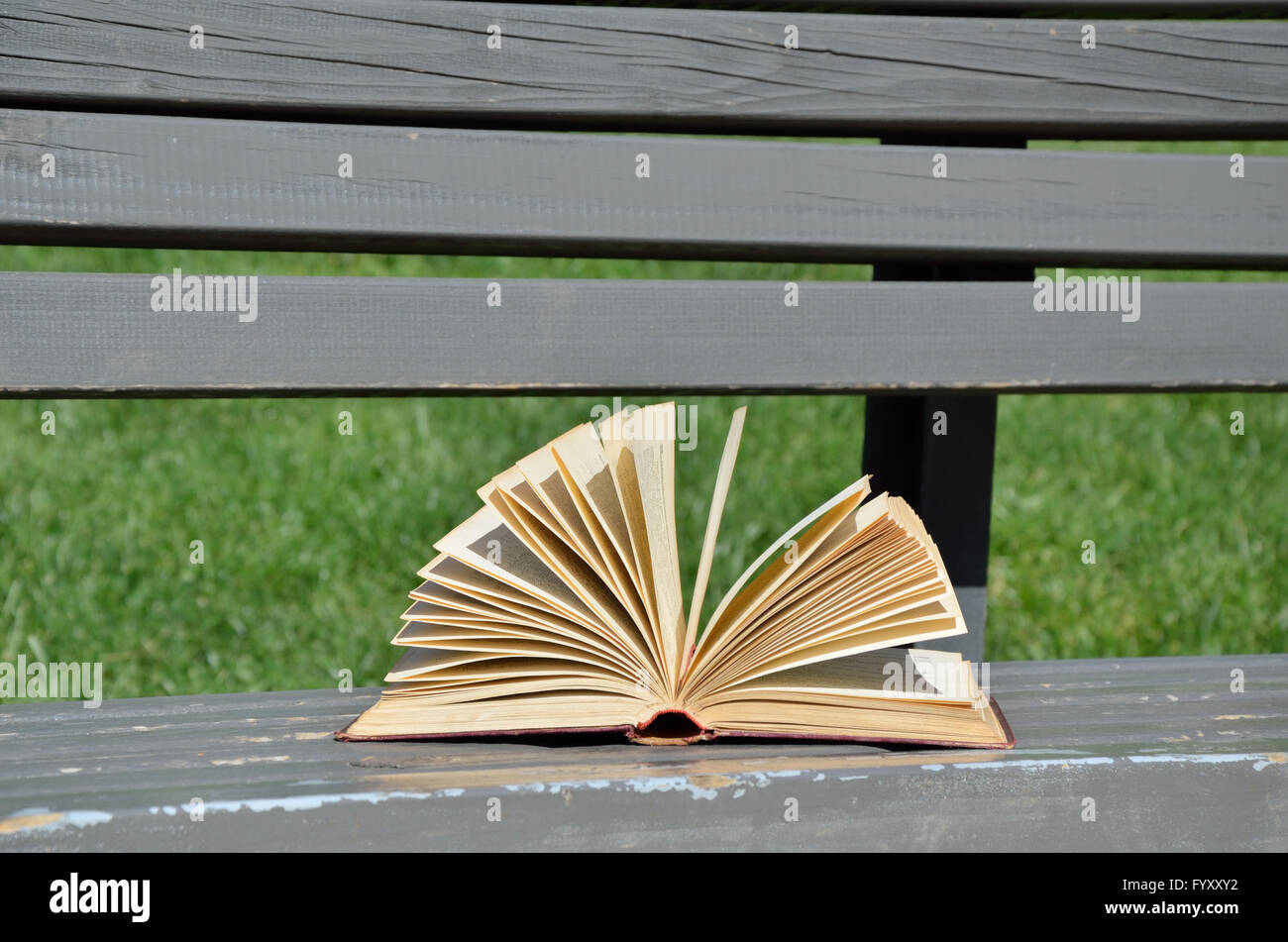 Open book on a bench in the school yard on a windy day Stock Photo - Alamy