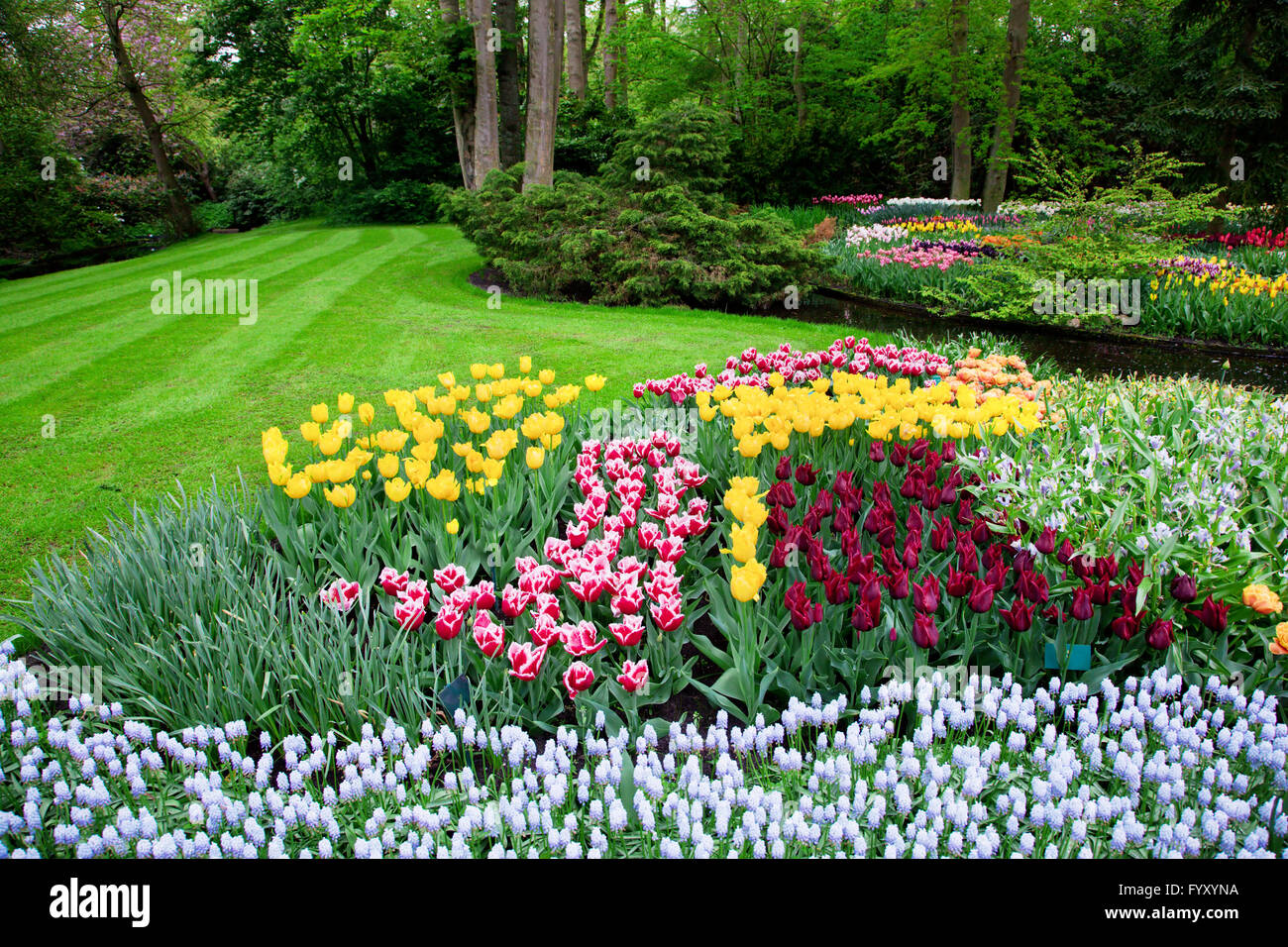 Colorful flowers that bloom in spring hi-res stock photography and ...