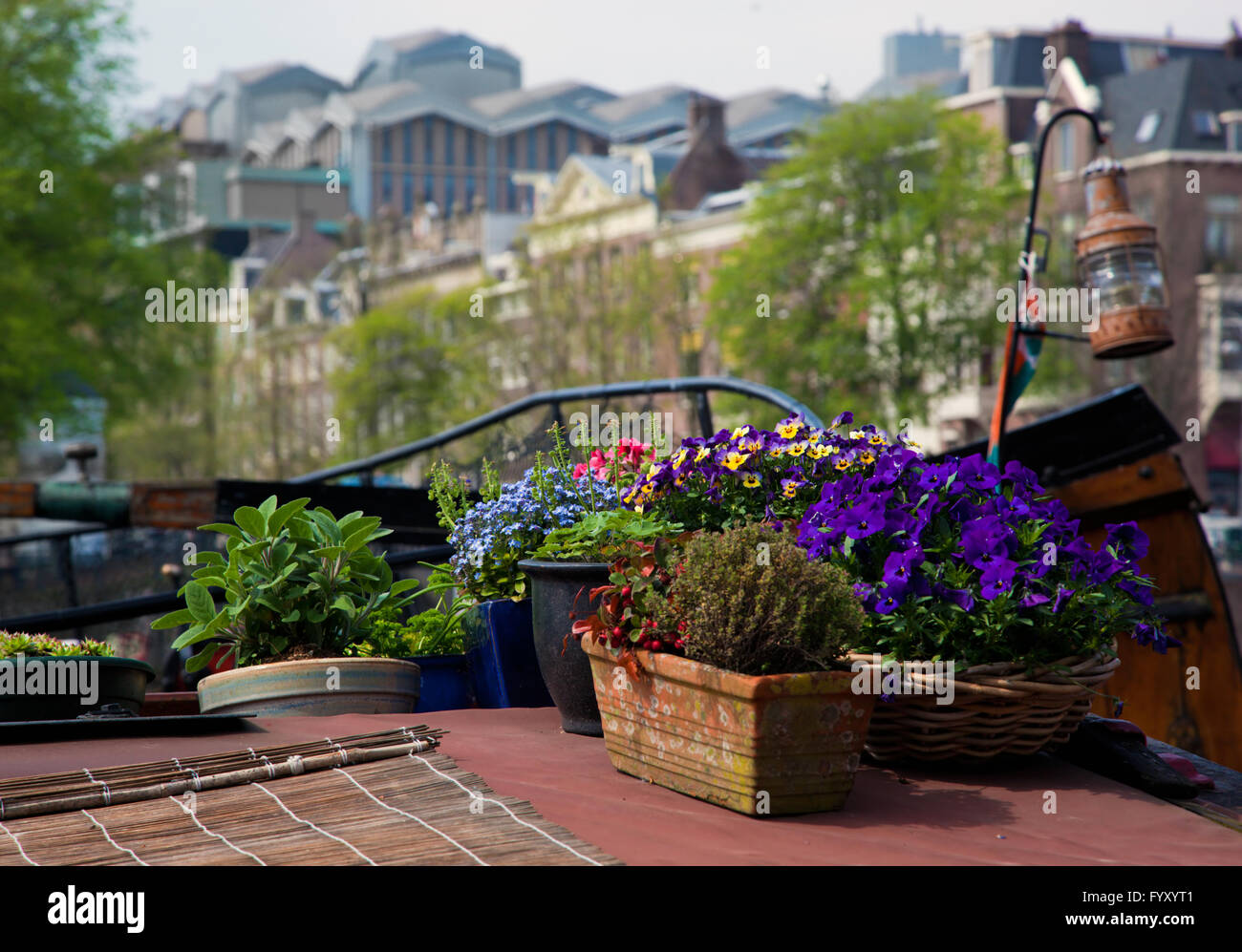 Amsterdam. Flowers on a boat Stock Photo - Alamy