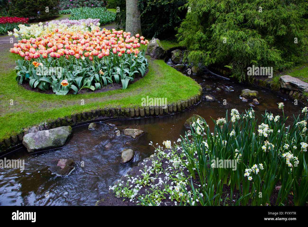 Beautiful spring summer flowers hi-res stock photography and images - Alamy
