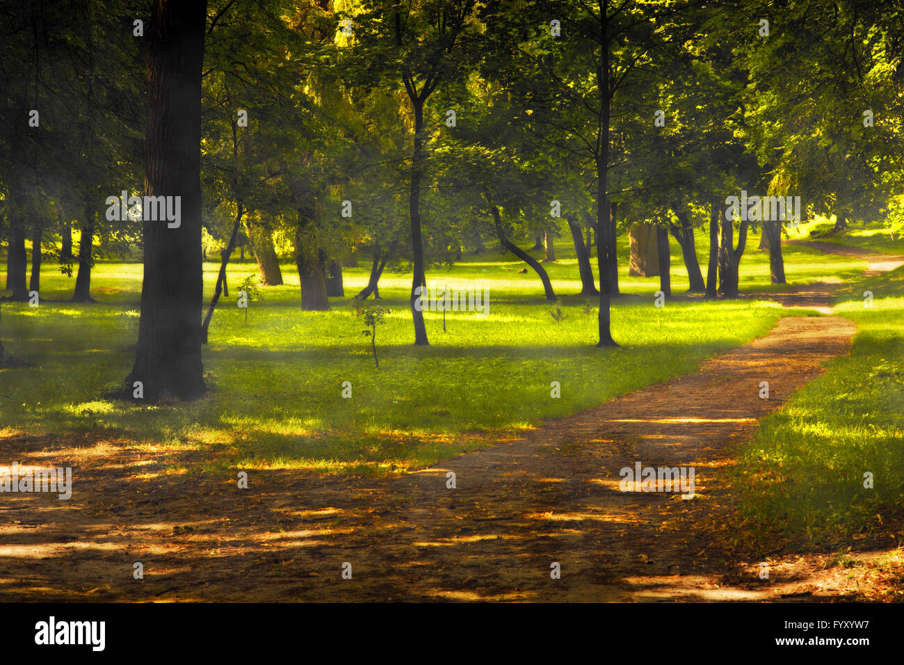 Beautiful scenery bright sun shining hi-res stock photography and ...