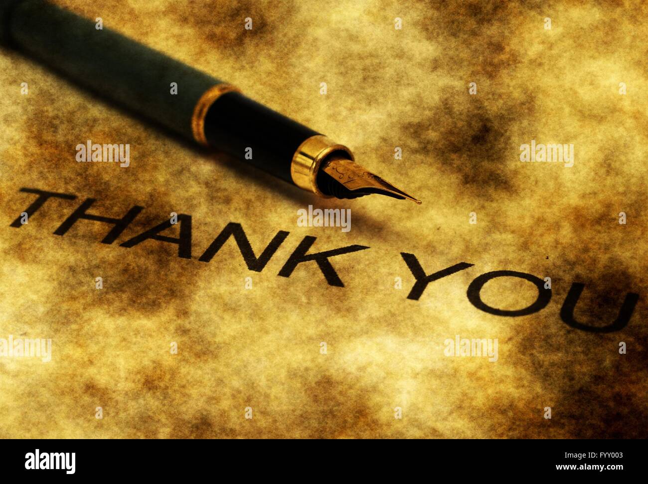 Fountain pen on thank you letter Stock Photo - Alamy