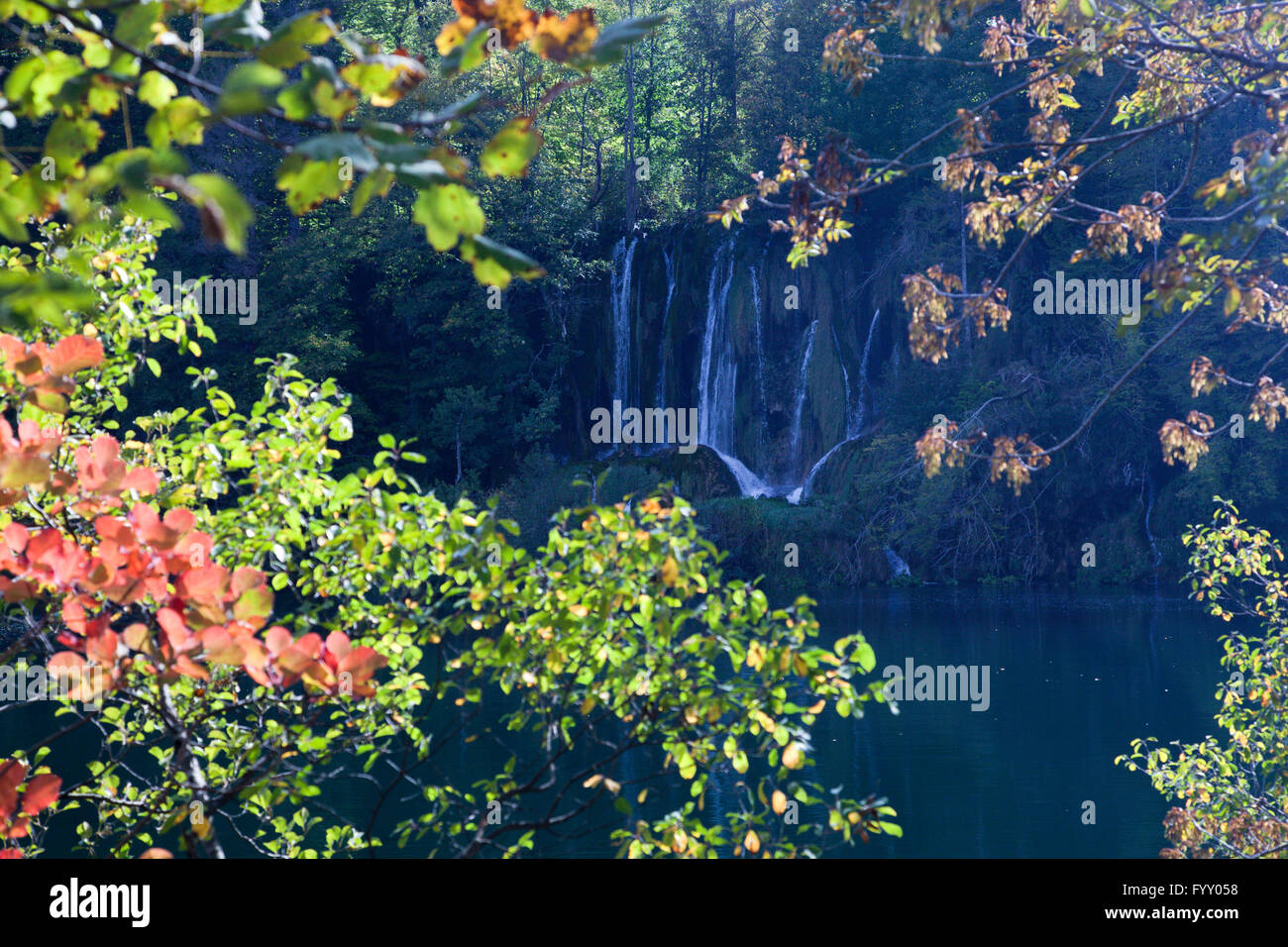 Crystal clear water stream in hi-res stock photography and images - Alamy
