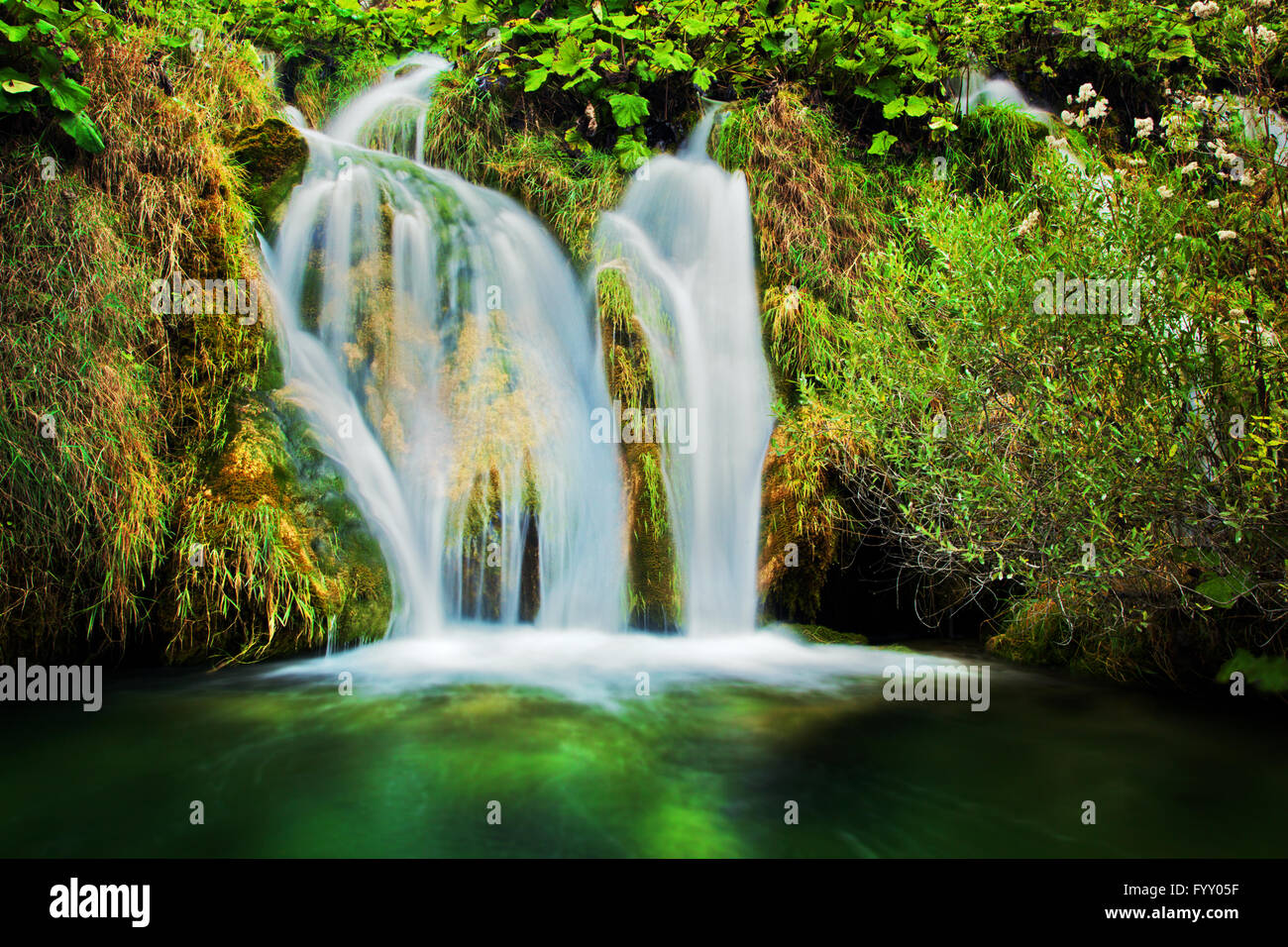 Waterfall in forest. Crystal clear water Stock Photo - Alamy