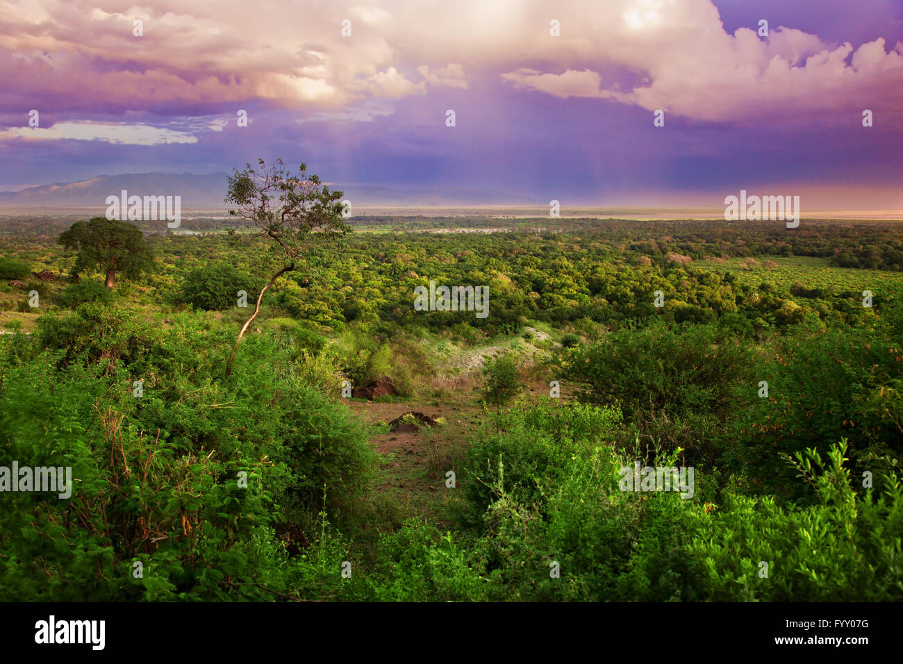 Bush people africa hi-res stock photography and images - Alamy