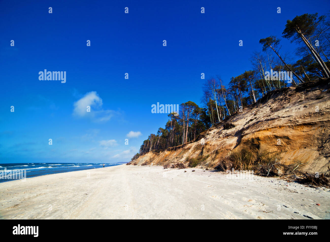 Tropical beach on sunny hi-res stock photography and images - Alamy