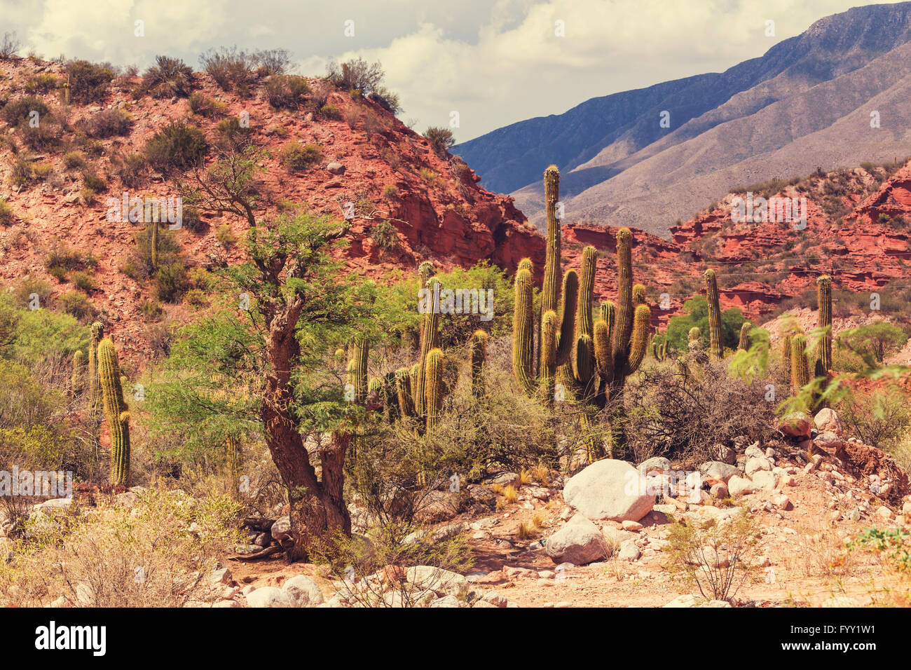 Inca road desert hi-res stock photography and images - Alamy