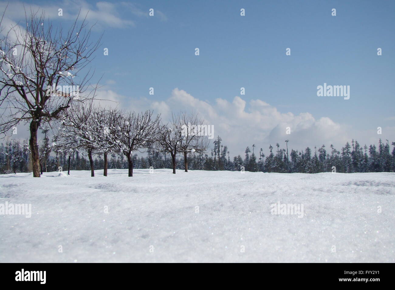 Jammu kashmir landscape hi-res stock photography and images - Alamy