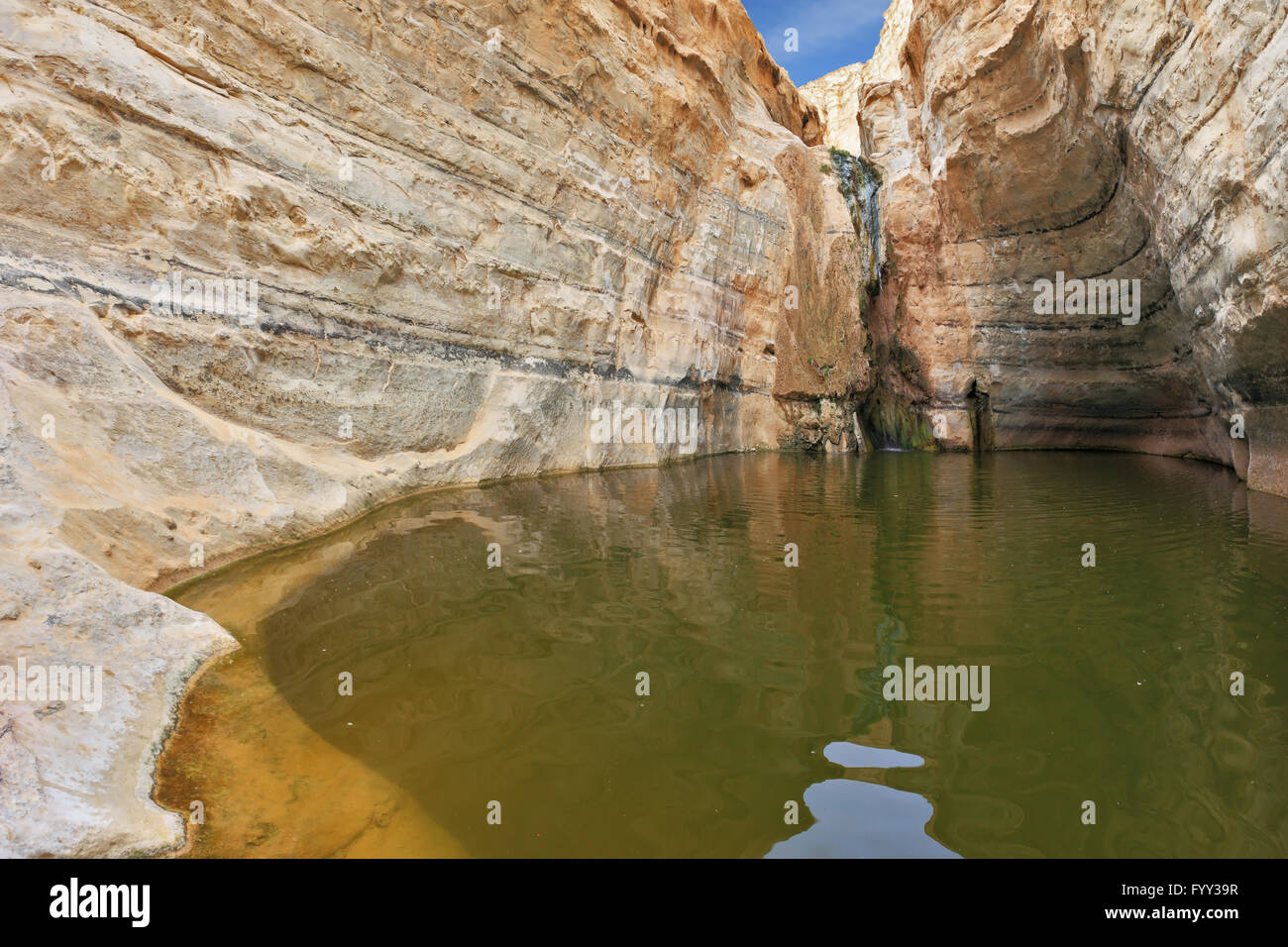 Sandstone walls of canyon form round bowl Stock Photo - Alamy