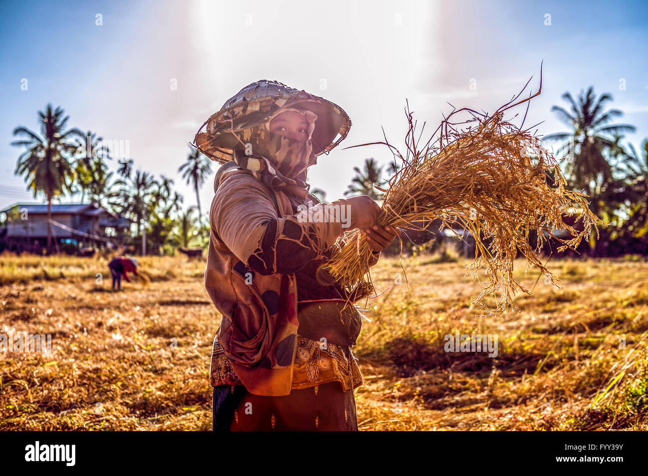Working Peasant High Resolution Stock Photography and Images - Alamy