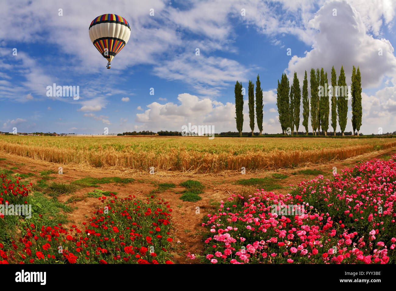 Flying over fields of balloon Stock Photo - Alamy